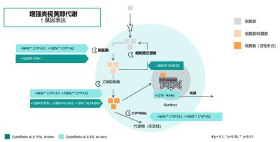 神仙打架 | 植物A醇及其功效大盘点–真魅博客
